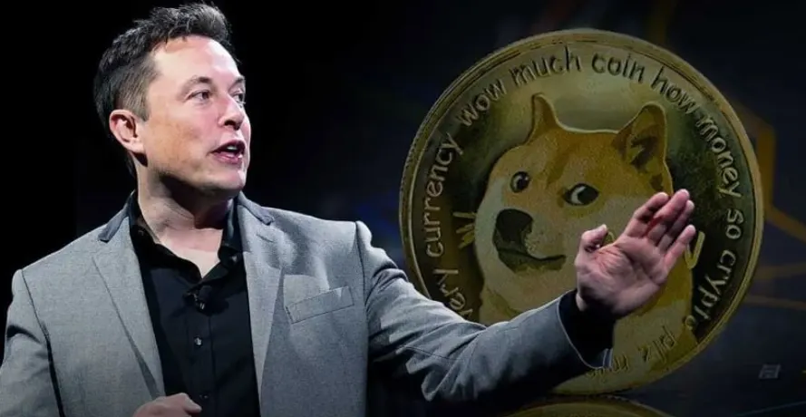 Elon Musk's X Money Goes Public in April — But Where Is Dogecoin?