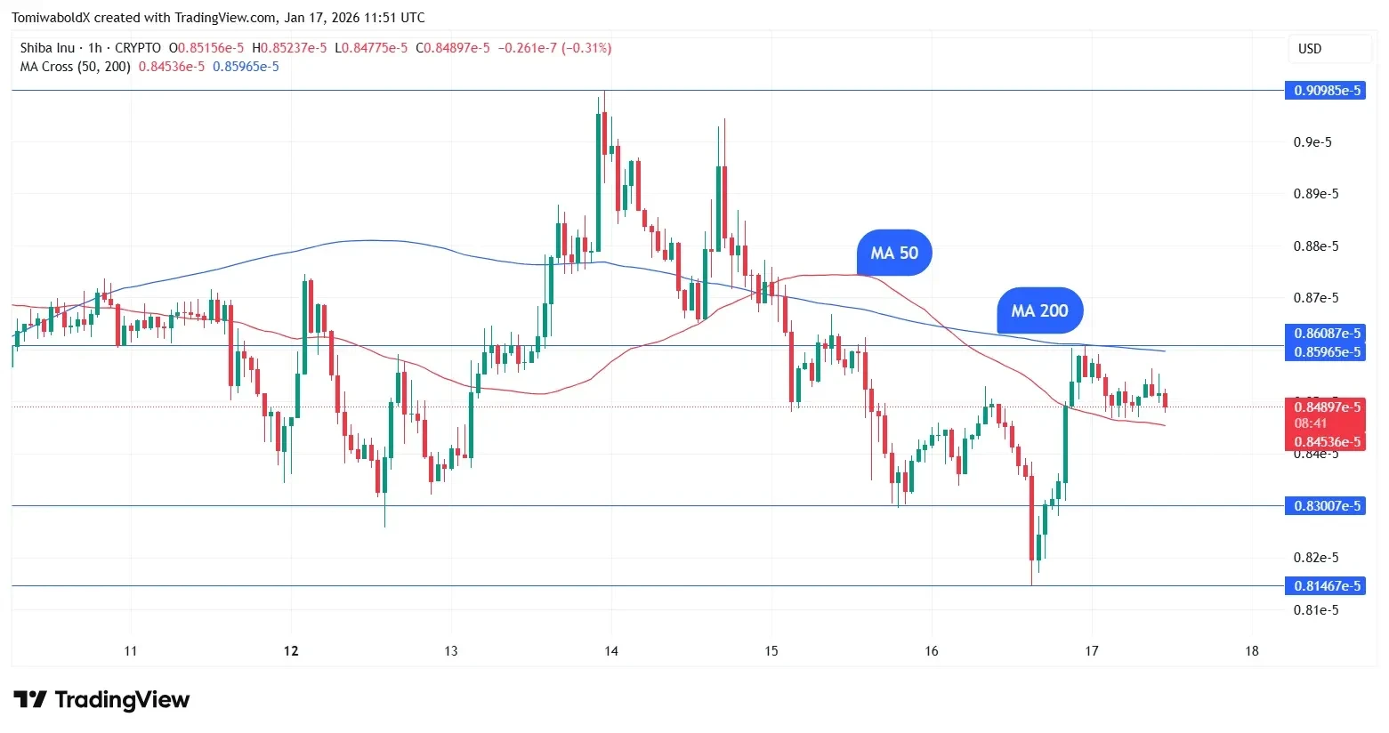 Shiba Inu Price Shows Death Cross Pattern
