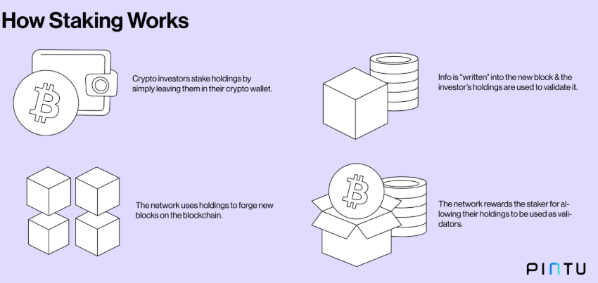 Crypto Staking vs Mining: A Complete Guide
