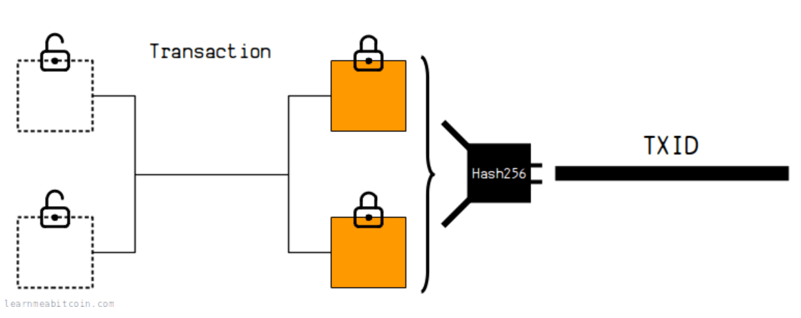 What Is Transaction ID (TXID): A Complete Guide