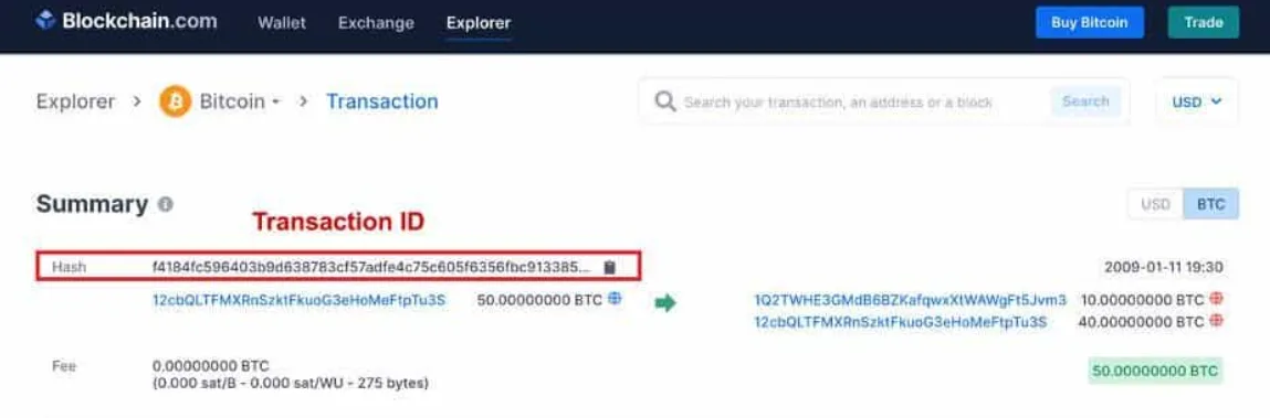 What Is Transaction ID (TXID): A Complete Guide