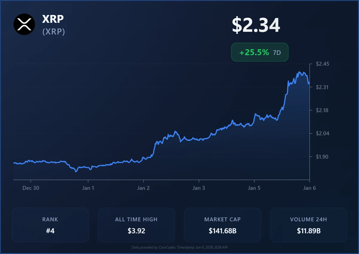 XRP Rich List: Who Really Owns XRP?