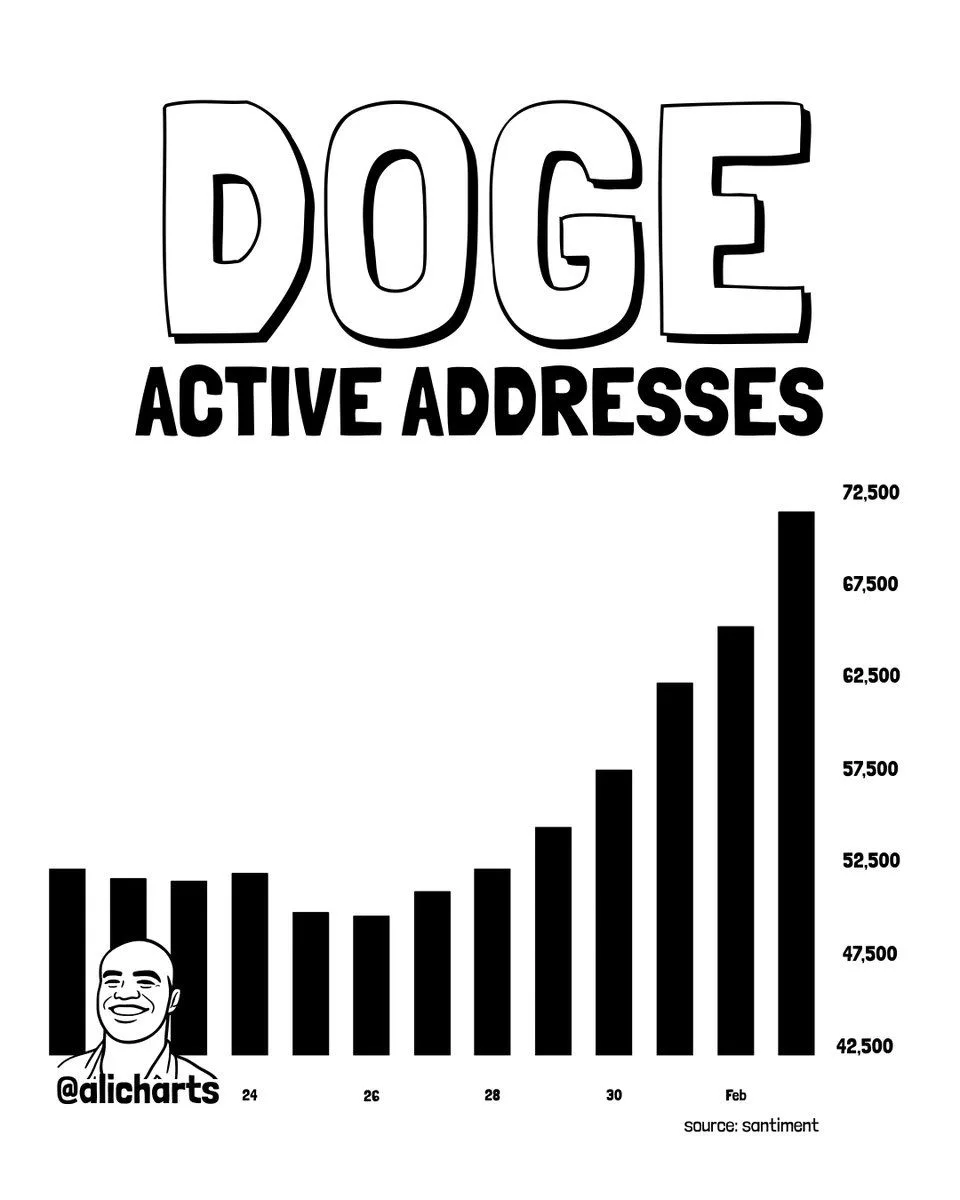 Dogecoin Surges: Active Addresses Jump 36%, DOGE Price Hits Base