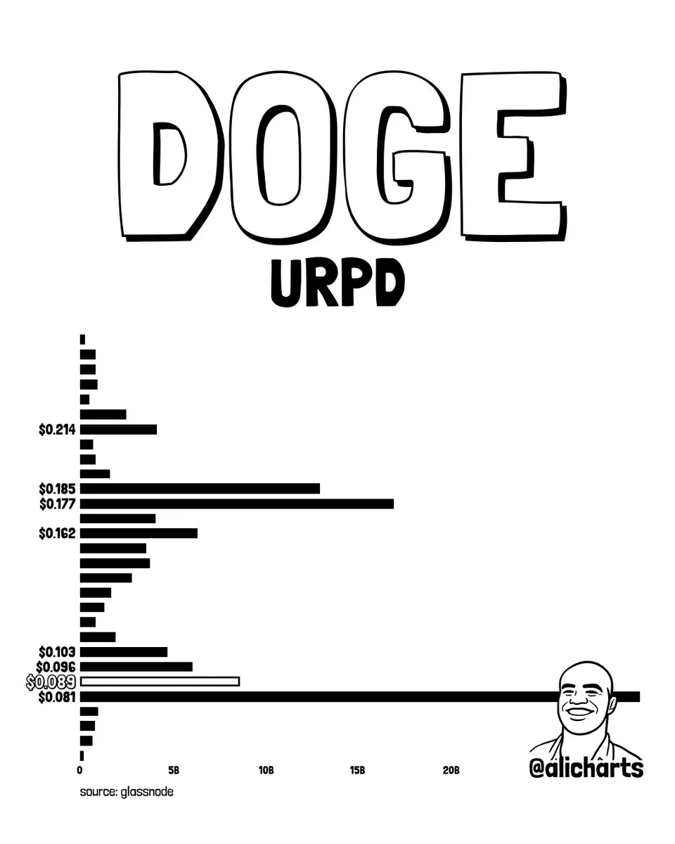 Dogecoin Price Prediction: DOGE Defends $0.081 as Cycle Setup Builds
