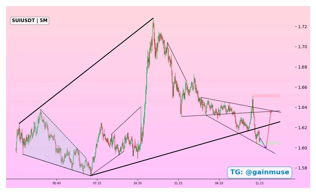 SUI Price Prediction for 2025, 2026, 2030, and 2050