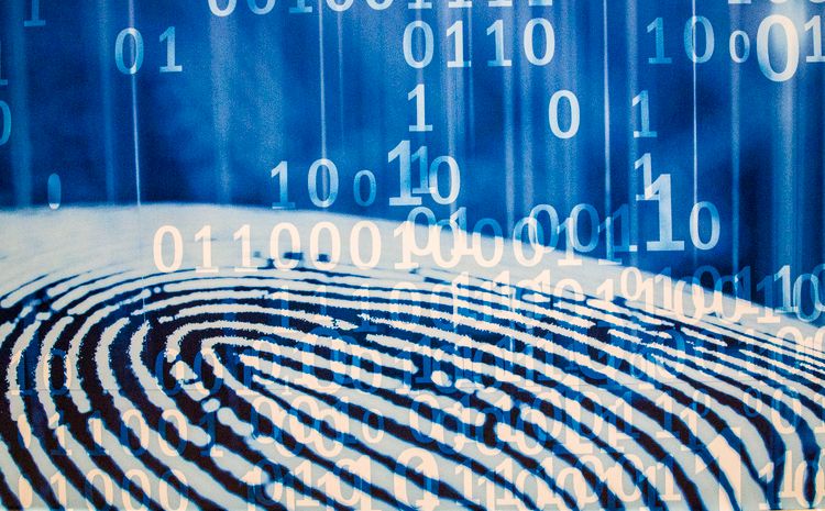 Interpol now has its own metaverse