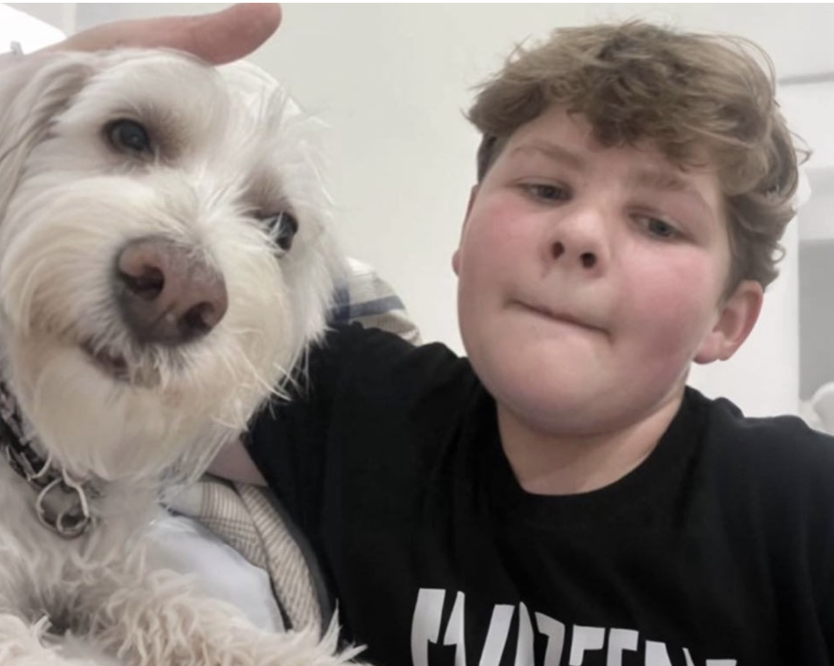 Lucy The Quant Kid Dog Is Safe—It's Not What You Think, No Kidnapping Here!