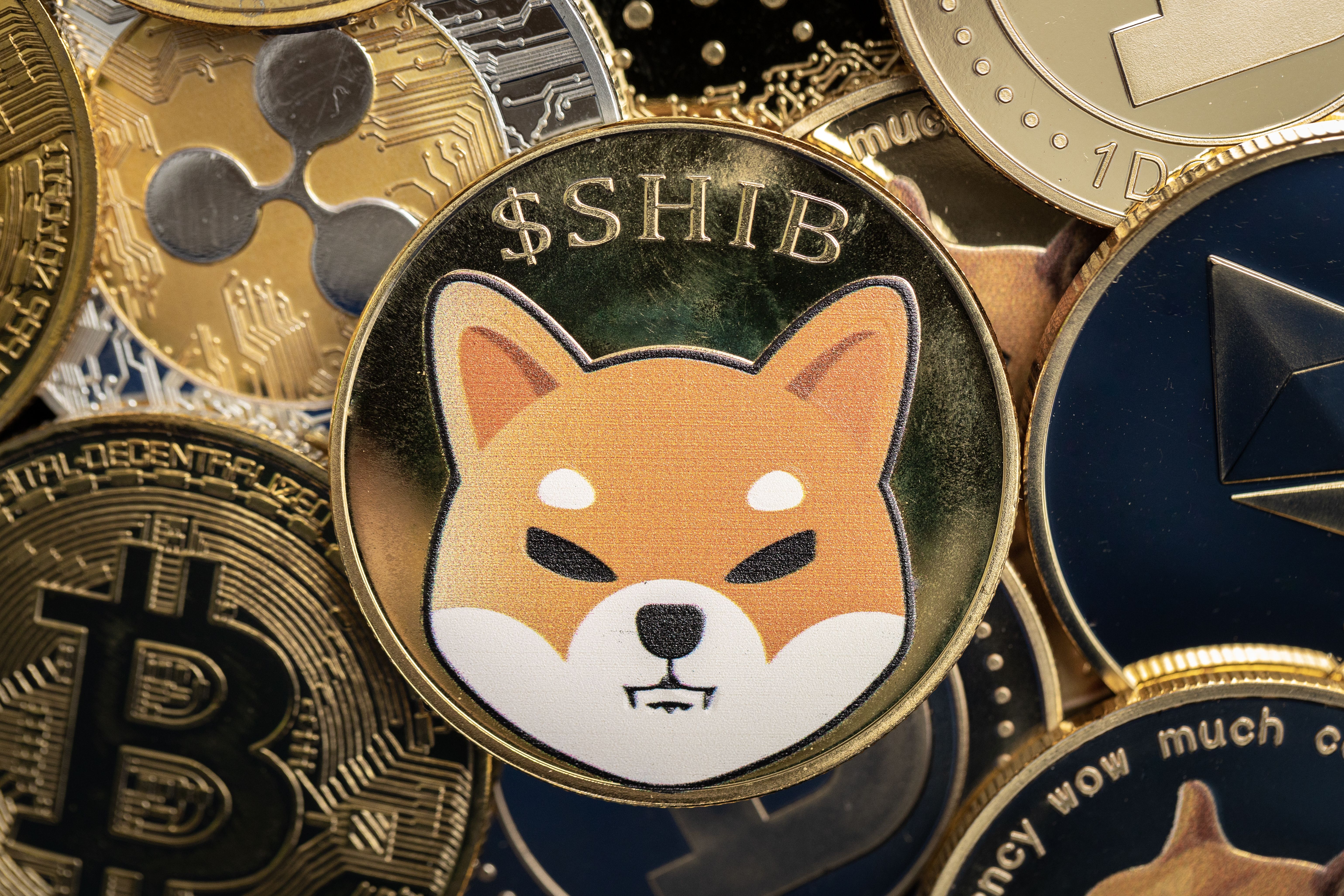 Shiba Inu Eyes Asia: Tours Planned in Korea, Japan, and China