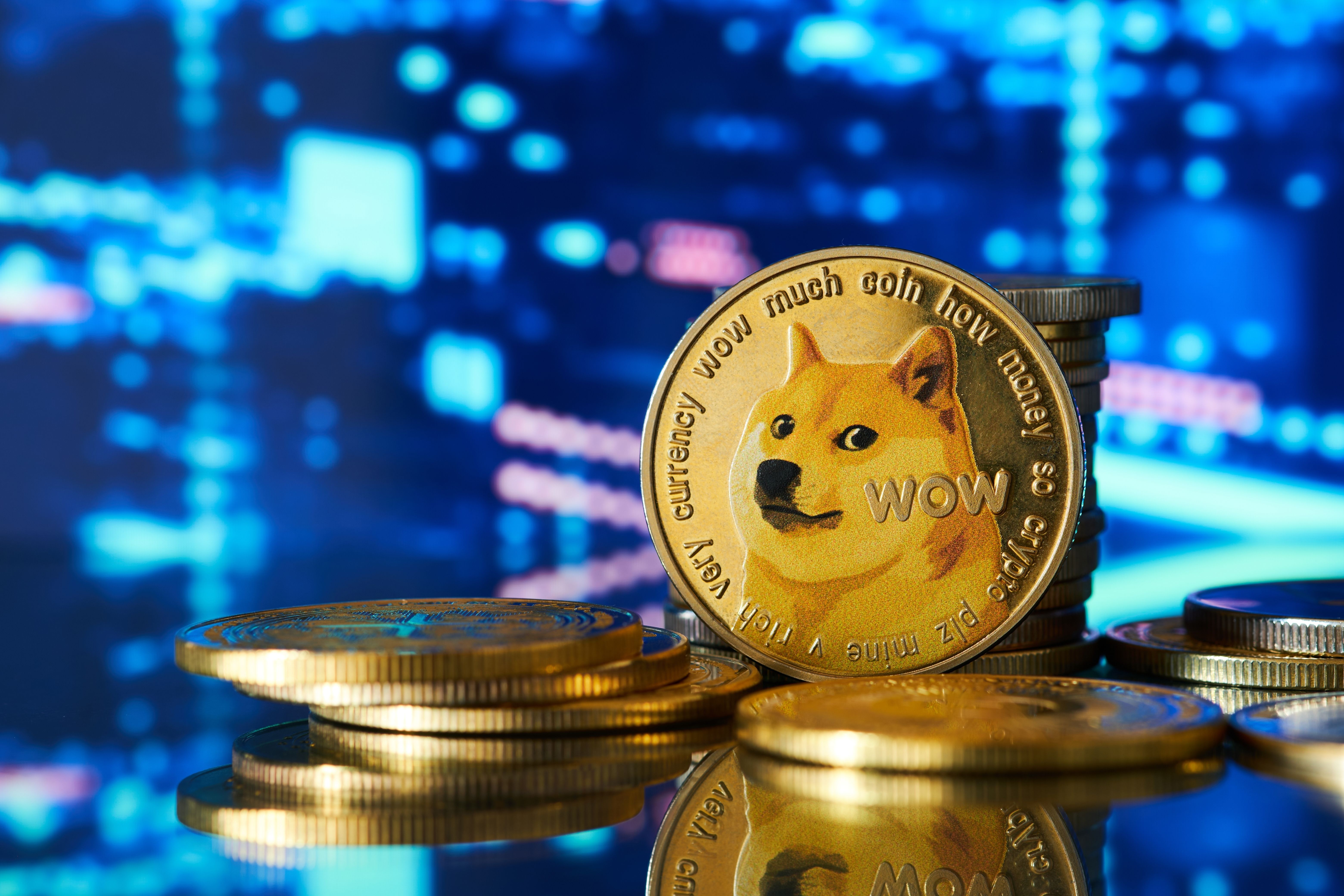 Dogecoin Surges as 42-Day Cycle Signals Potential Rally Ahead
