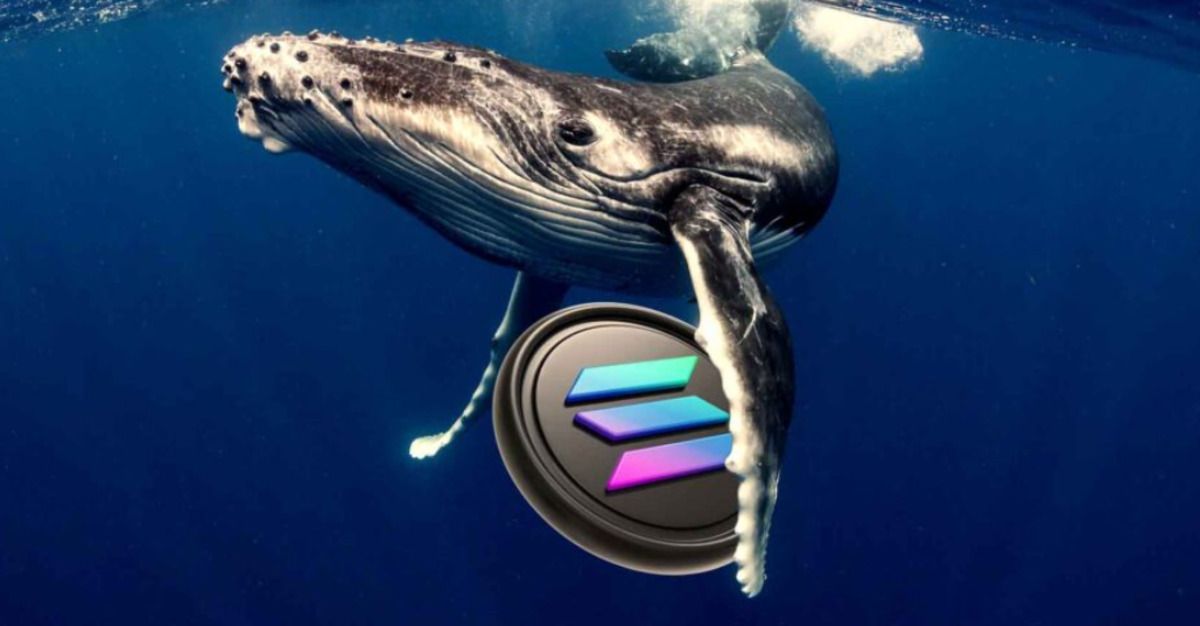 Solana Whales: Driving Market Trends and Price Movements