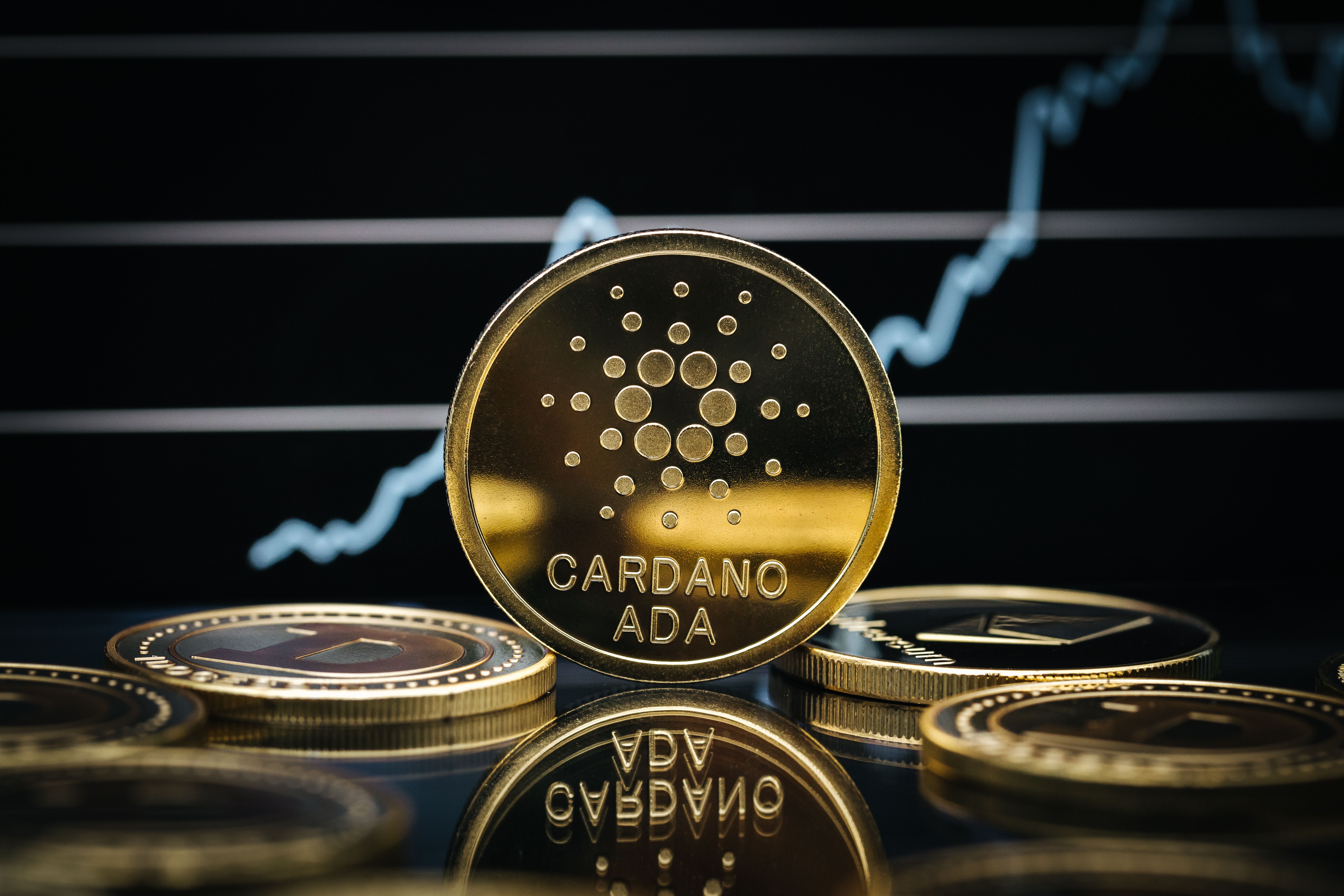 Cardano Price Falls 60% in a Year as Interest Reaches 5-Year Low